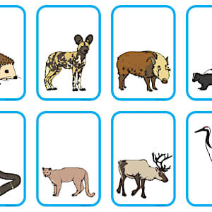 Tell Me a Story Cards