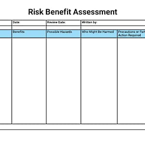 Early Years Risk Assessment Template - Printable Resource
