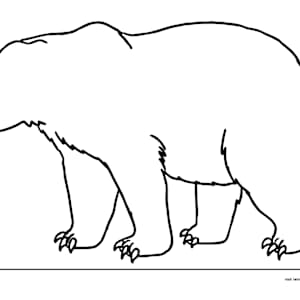Animal Outline Templates | Kid's Coloring Activity | Twinkl