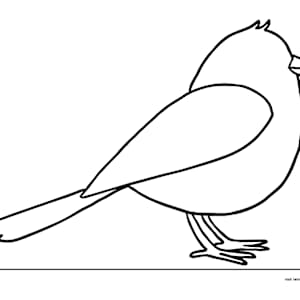 Animal Outline Templates | Kid's Coloring Activity | Twinkl