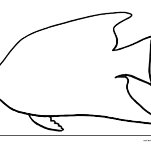 Animal Outline Templates - Animal Outlines For Kids - Twinkl