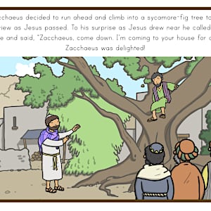 Zacchaeus Sequencing Cards | Christian Ed. | Twinkl USA