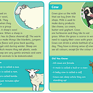 Farm Animal Fact Cards