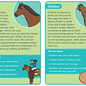 Farm Animal Fact Cards