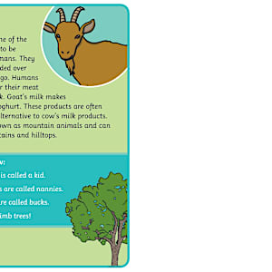 Farm Animal Fact Cards
