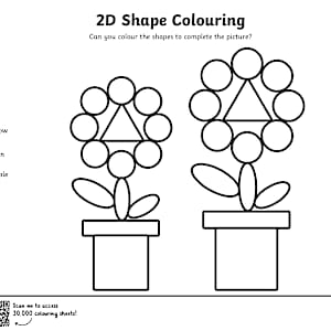 2D Shape Colouring Pages | KS1 Maths Resources