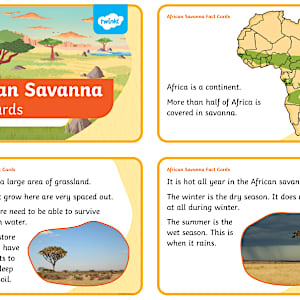 KS1 African Savanna Fact Cards - Twinkl
