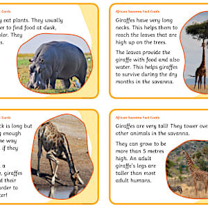 KS1 African Savanna Fact Cards - Twinkl