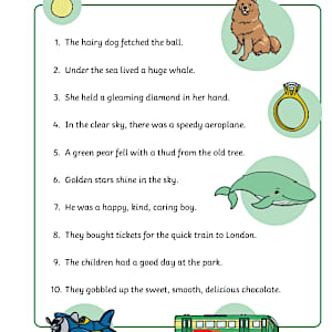Find the Adjectives Activity