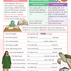 👉 French: Adjectives Activity Sheet