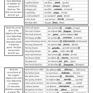 👉 French: Adjectives Activity Sheet
