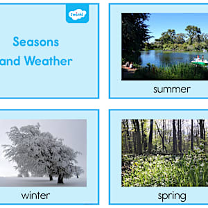 Seasons and Weather Flash Cards (teacher made) - Twinkl