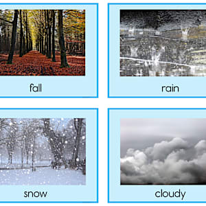 Seasons and Weather Flash Cards