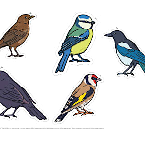 Garden Birds Display Cut-Outs
