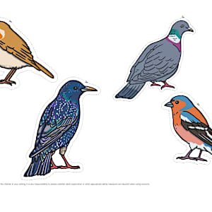 Garden Birds Display Cut-Outs