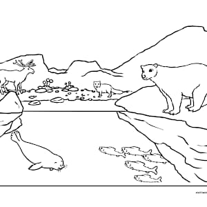 Habitat Coloring Pages