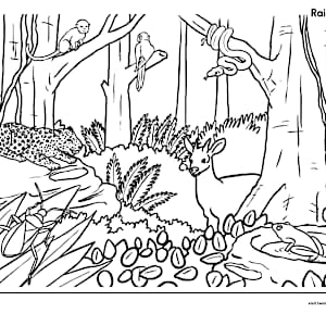 Habitat Coloring Pages