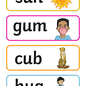 3-Letter ‘u’ Words Cards - English - Twinkl