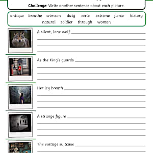 - Year 3: A Sentence a Day Activity Pack - KS2 Resource