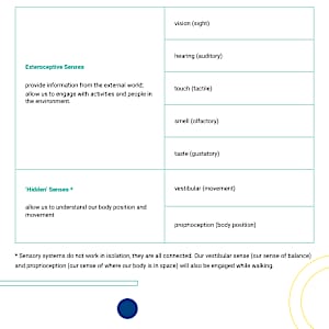 OT: Sensory Profile Assessment