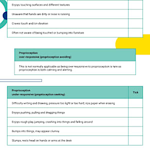 OT: Sensory Profile Assessment