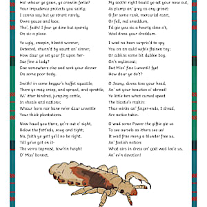 To a Louse Robert Burns Poem