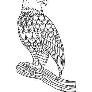 USA Coloring Sheets | Mindfulness Activities | Twinkl USA