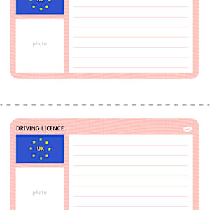 Blank Driving Licence Template