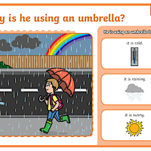 'Why' and 'Because' Question Scene Cards