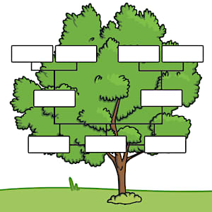 My Family Tree Template - Teaching Resources