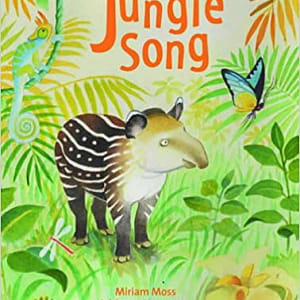 Rainforest Storybooks KS1 | Twinkl Book List - Twinkl