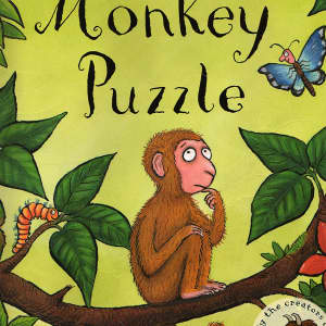 Jungle books, book, primary, animals, rainforest, living things