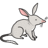 What is a Bilby - Food Chain, Habitat, Behaviour | Twinkl