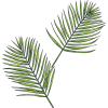 Palm Leaf Template (teacher made)