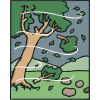 The Beaufort Scale (teacher made)