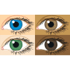 Variation Worksheet - Interactive (teacher made) - Twinkl