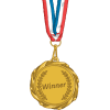 👉 Editable Award Medals (teacher made) - Twinkl