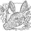 Kangaroo Mindfulness Colouring Page - English (Australian)