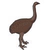 New Zealand Extinct Animals PowerPoint | Twinkl - Twinkl
