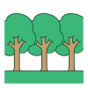 What are Deciduous Plants? | Twinkl Teaching Wiki - Twinkl