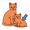 Animals And Their Offspring | Year 2 Science Lesson Pack