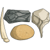 Stone Age Food PowerPoint - Learning Resources - Twinkl