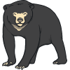 Animal Adaptations for Kids | Twinkl Teaching Wiki - Twinkl