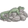 FREE! - Tuatara Lizard Colouring Sheet | Colouring Sheets