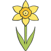 Flowers and Plants Flashcards PDF - Primary Resource