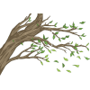 Tree Branch Display Cut-Outs (teacher made) - Twinkl