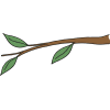 Tree Branch Display Cut-Outs - Twinkl