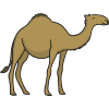 Camel Adaptation PowerPoint and Activity Pack (Teacher-Made)