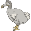 KS2 Dodo Fact File - Learn about how the dodo became extinct
