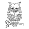 Morepork Owl Mindfulness Colouring Page (teacher made)